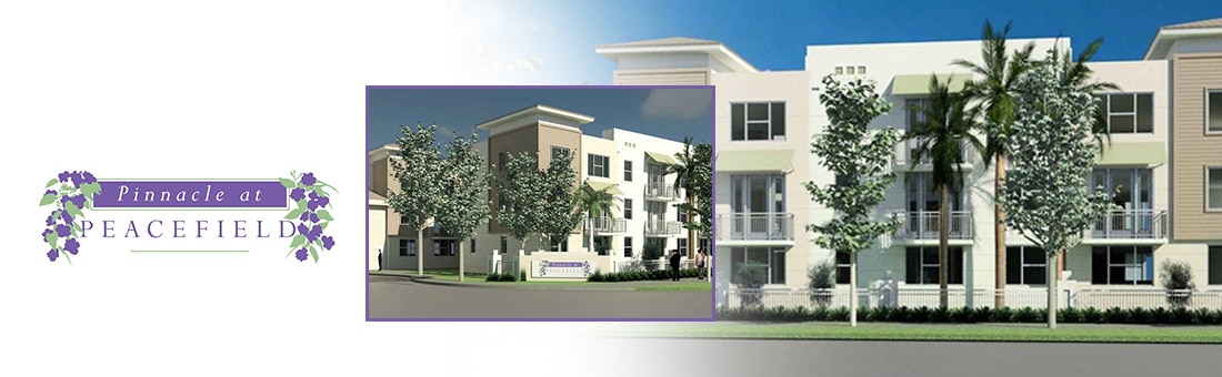 Pinnacle at Peacefield Apartments – PMI Florida – Professional ...